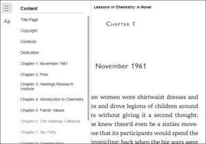 Should Your Novel Have Chapter Numbers or Chapter Titles?